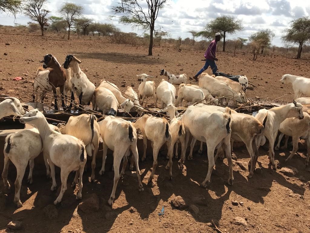 Conservation in northern Kenya: conflicts over community land in the ...