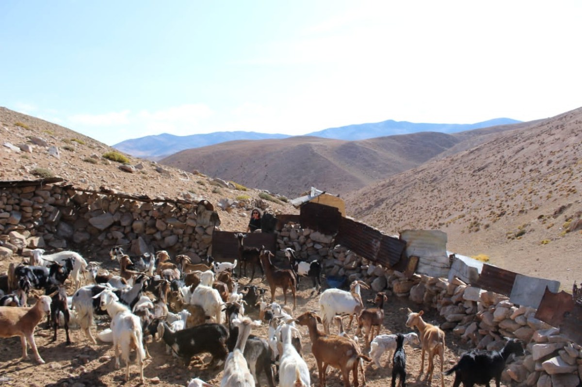 The changing life of transhumant pastoralists in central and northern Chile – Pastoralism ...