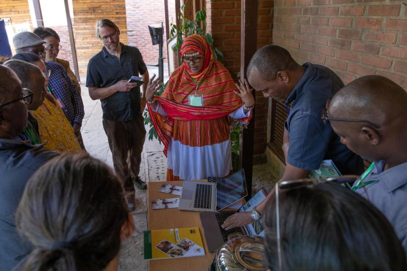 A new narrative for development policy in pastoral areas – Pastoralism ...