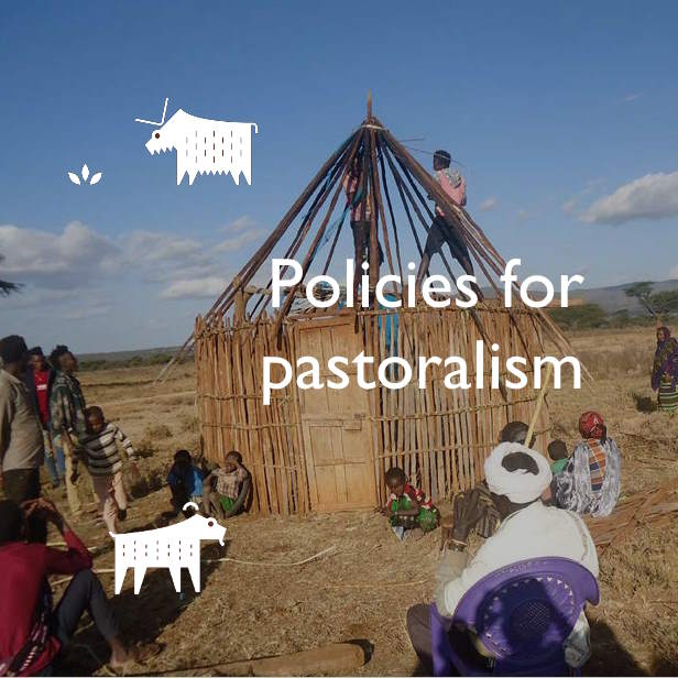 A new narrative for pastoralism – Pastoralism, Uncertainty and ...
