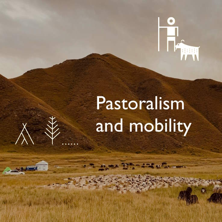 Mobility is vital for successful pastoralism – Pastoralism, Uncertainty ...